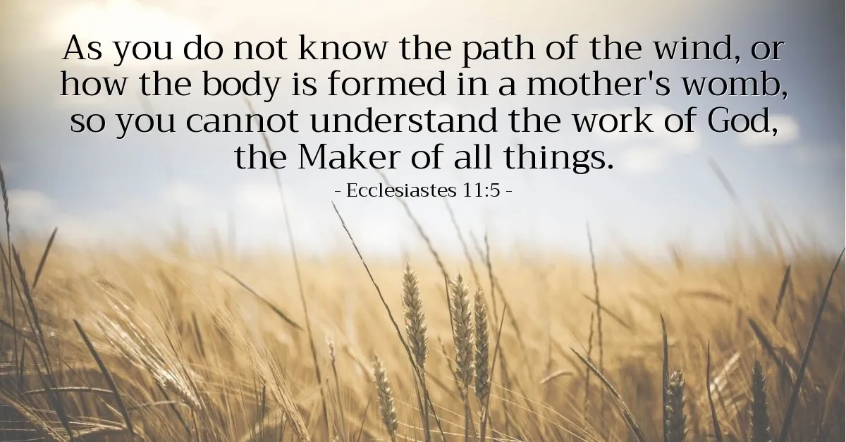 Bible Says Don't Touch A Women? What Bible Verses? - MadeManMinistries