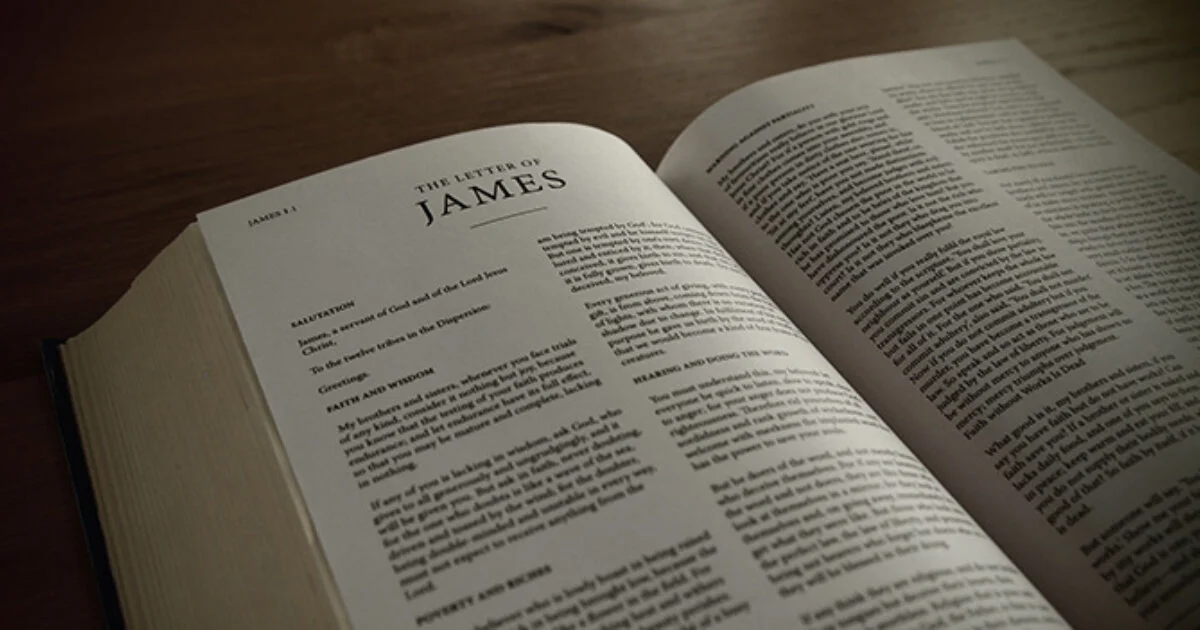 The Letter of James Explained: Faith, Works, and the Brother of Jesus ...